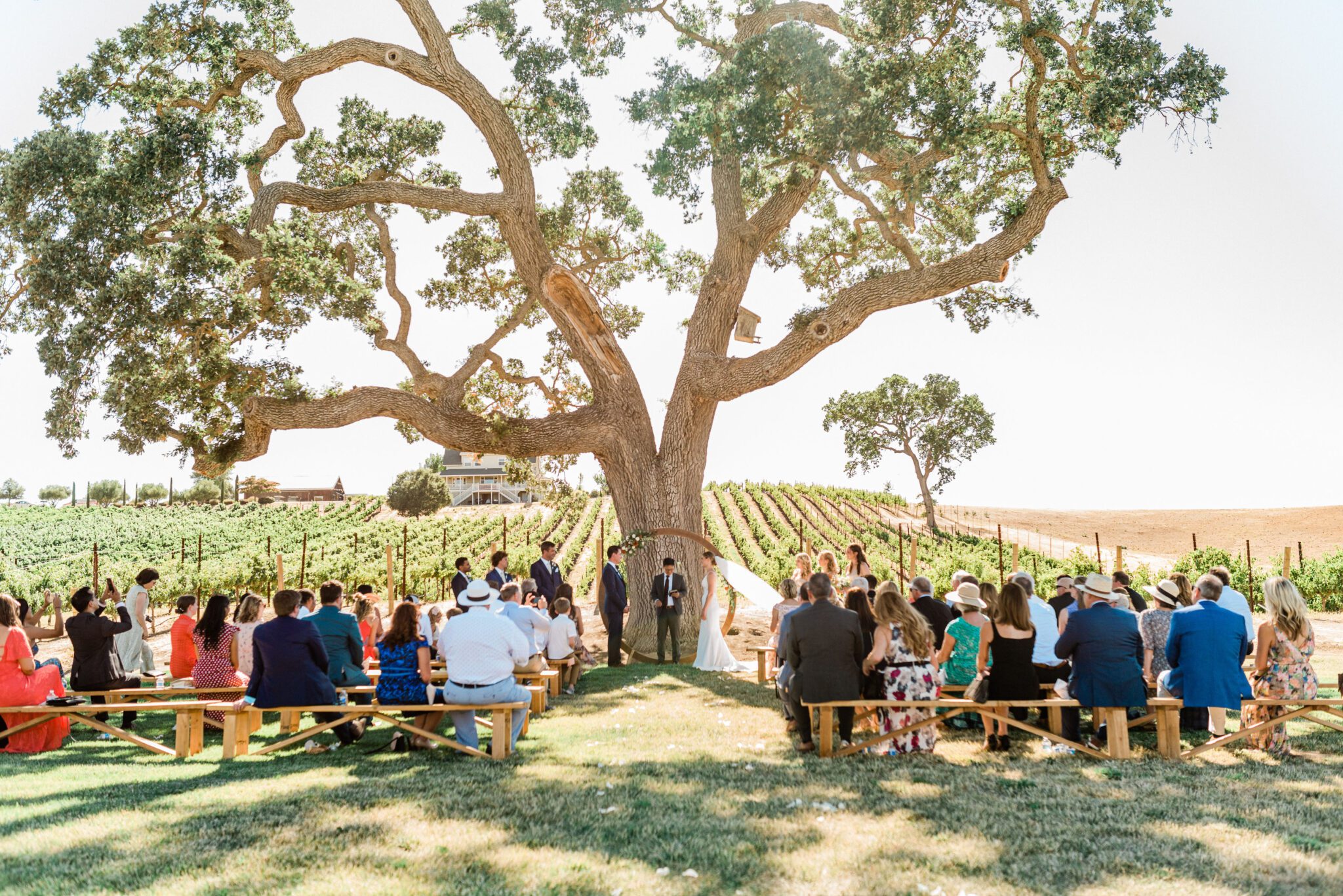5 Reasons Why San Luis Obispo is the Best for a California Wedding ...